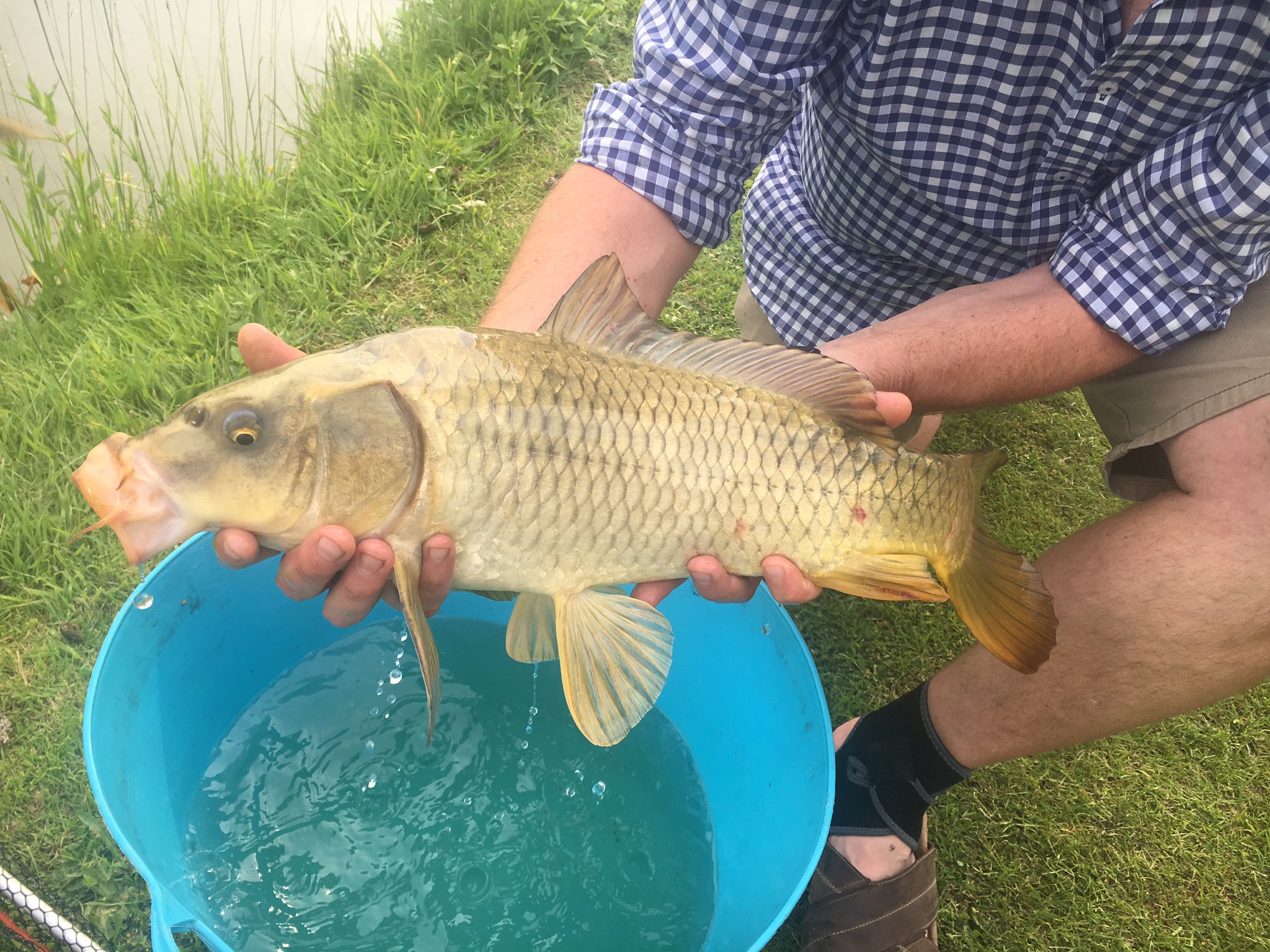 Golf Course 2030 Water