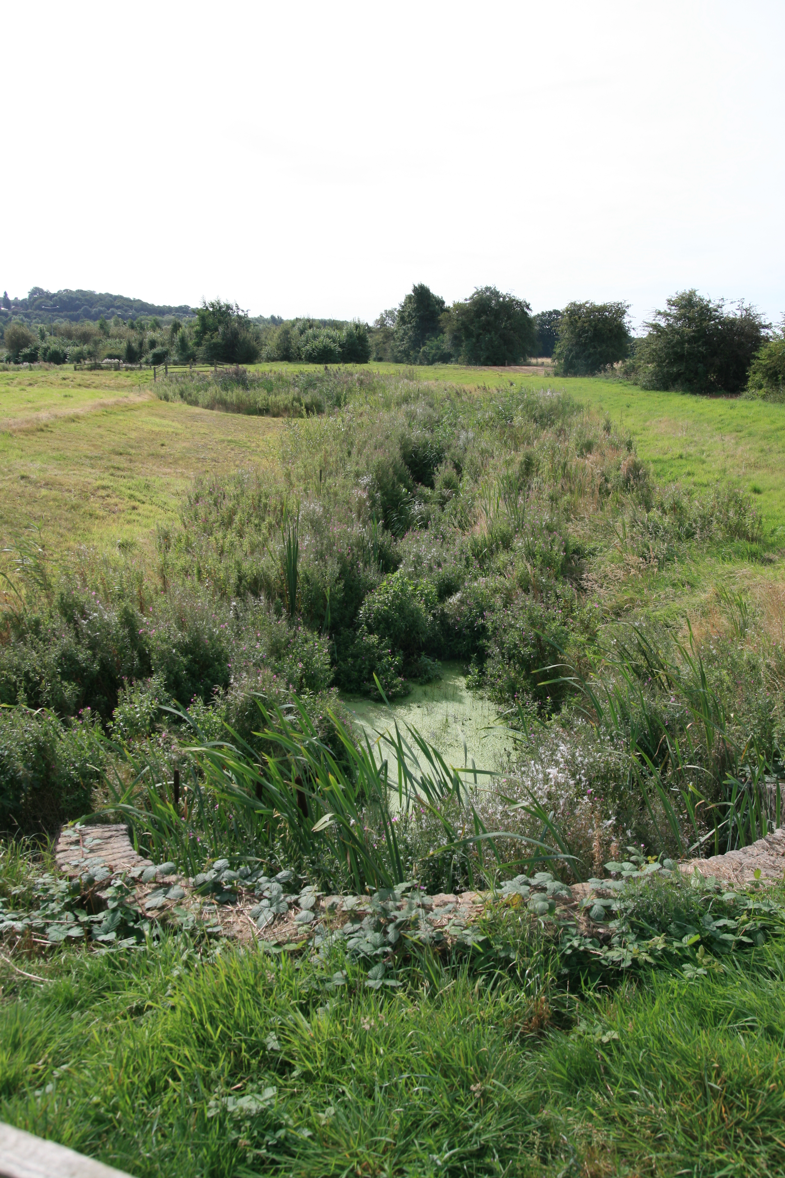 Golf Course 2030 Water